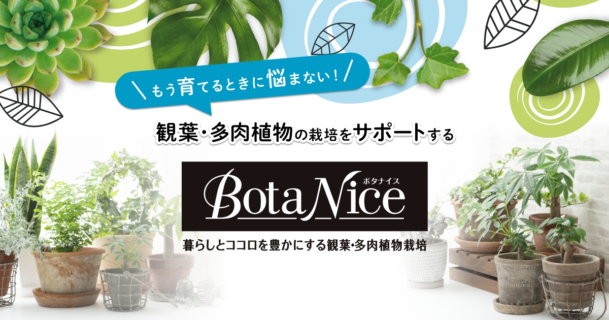BotaNice(ボタナイス)観葉・多肉植物栽培なら｜アースガーデン